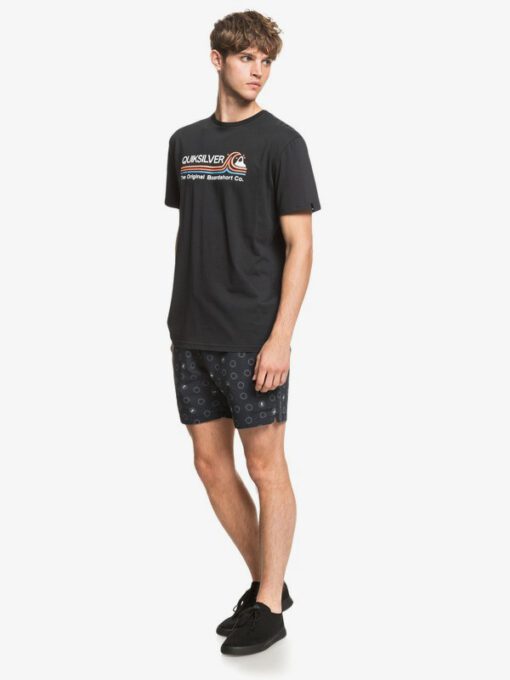 Camiseta Hombre QUIKSILVER manga corta Stone Cold Classic
